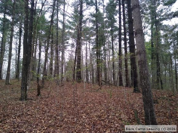 Perry County Indiana Hunting Lease - Property #9766 | Base Camp Leasing