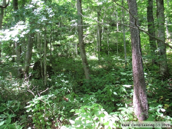 Clay County Tennessee Hunting Lease - Property #10481 | Base Camp Leasing