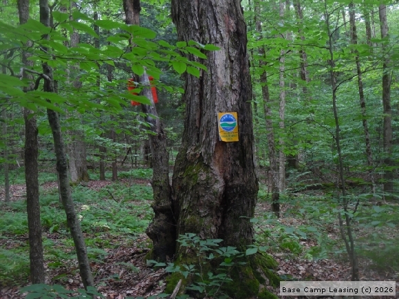 Chenango County New York Hunting Lease - Property #10620 | Base Camp Leasing