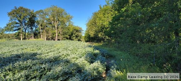 Ringgold County Iowa Hunting Lease - Property #10650 | Base Camp Leasing