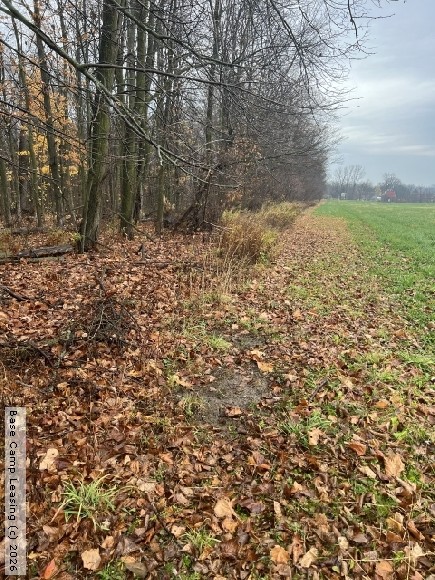 Barry County Michigan Hunting Lease - Property #10787 | Base Camp Leasing