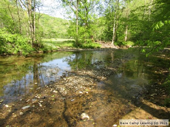 Monroe County Kentucky Hunting Lease - Property #11060 | Base Camp Leasing
