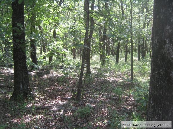 Creek County Oklahoma Hunting Lease - Property #11160 | Base Camp Leasing