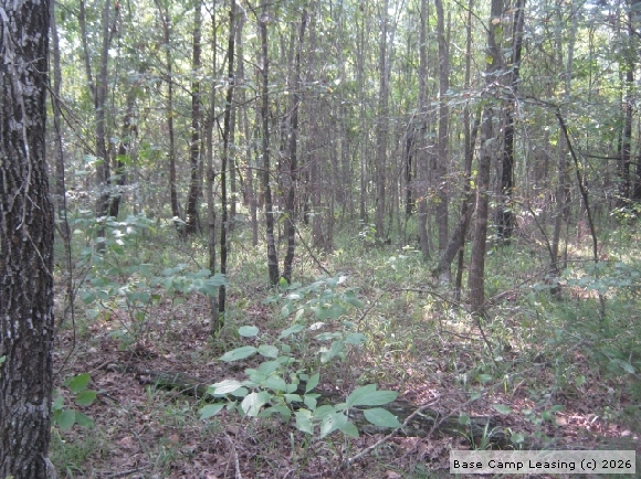 Pushmataha County Oklahoma Hunting Lease - Property #11323 | Base Camp ...