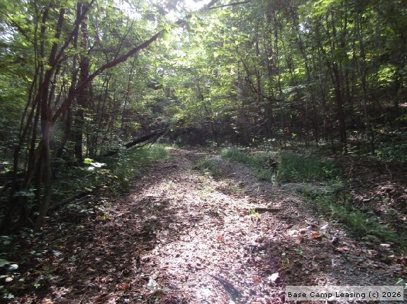 Wayne County Kentucky Hunting Lease - Property #11434 | Base Camp Leasing