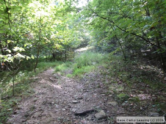 Wayne County Kentucky Hunting Lease - Property #11434 | Base Camp Leasing