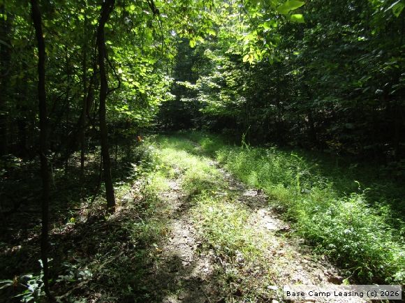 Wayne County Kentucky Hunting Lease - Property #11434 | Base Camp Leasing