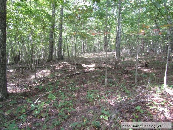 Wayne County Kentucky Hunting Lease - Property #11434 | Base Camp Leasing