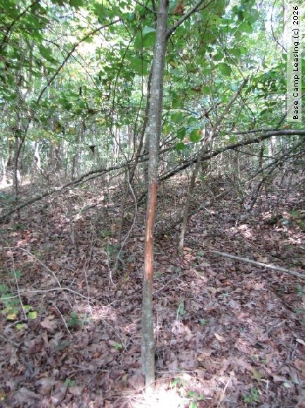 Wayne County Kentucky Hunting Lease - Property #11434 | Base Camp Leasing