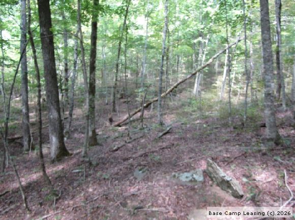 Wayne County Kentucky Hunting Lease - Property #11434 | Base Camp Leasing