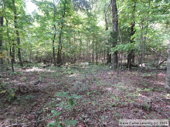 Wayne County Kentucky Hunting Lease - Property #11434 | Base Camp Leasing