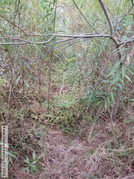 Madison County Tennessee Hunting Lease - Property #11507 | Base Camp ...