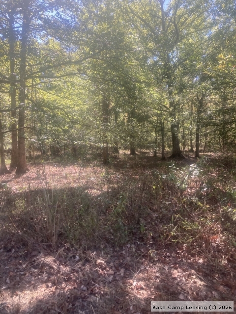 Leake County Mississippi Hunting Lease - Property #11514 | Base Camp Leasing