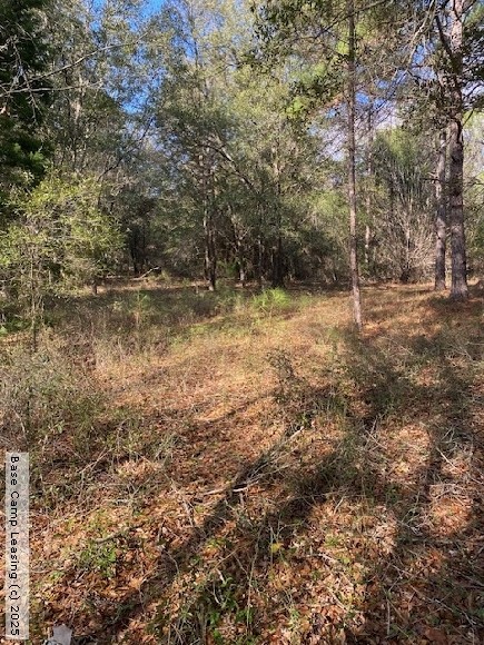 Dougherty County Georgia Hunting Lease - Property #11601 | Base Camp ...