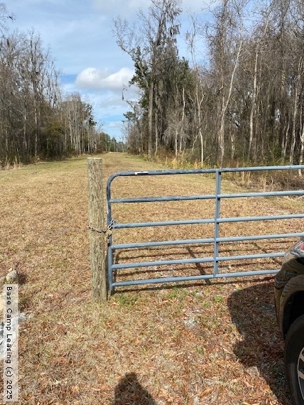 Chatham County Georgia Hunting Lease - Property #11638 | Base Camp Leasing