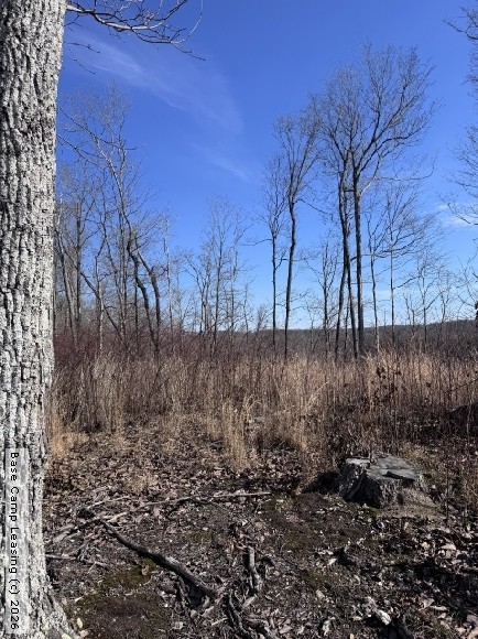 Smith County Tennessee Hunting Lease - Property #11674 | Base Camp Leasing