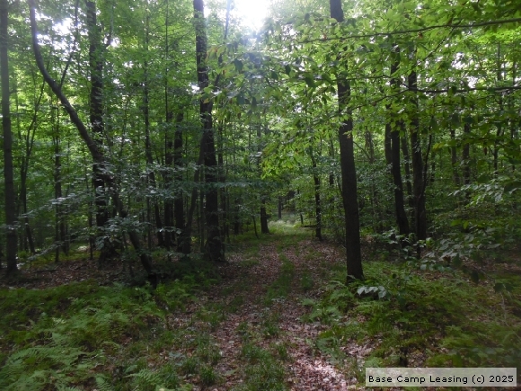 Cattaraugus County New York Hunting Lease Property 11754 Base Camp Leasing