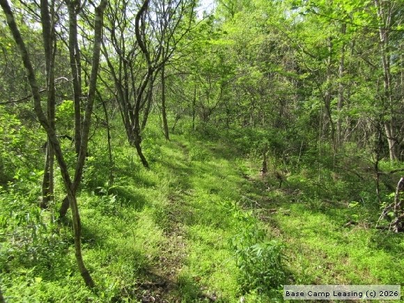 Monroe County Kentucky Hunting Lease - Property #11818 | Base Camp Leasing