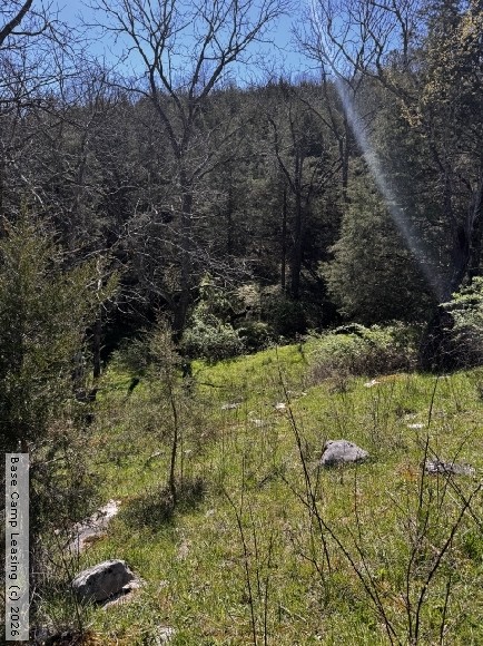 Rockcastle County Kentucky Hunting Lease - Property #11848 | Base Camp Leasing