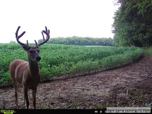 Atchison County Kansas Hunting Lease - Property #10887 | Base Camp Leasing
