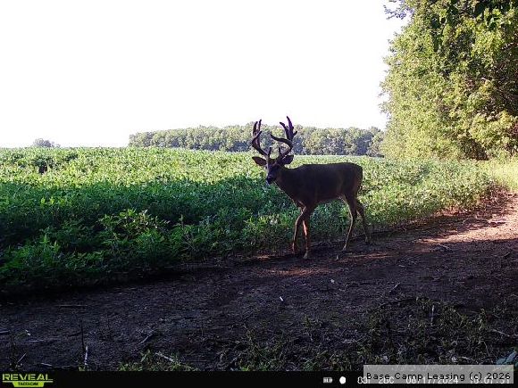 Atchison County Kansas Hunting Lease - Property #10887 | Base Camp Leasing