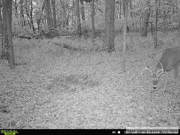 Atchison County Kansas Hunting Lease - Property #10887 | Base Camp Leasing