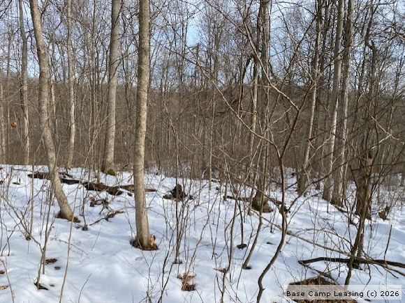 Athens County Ohio Hunting Lease - Property #12335 | Base Camp Leasing
