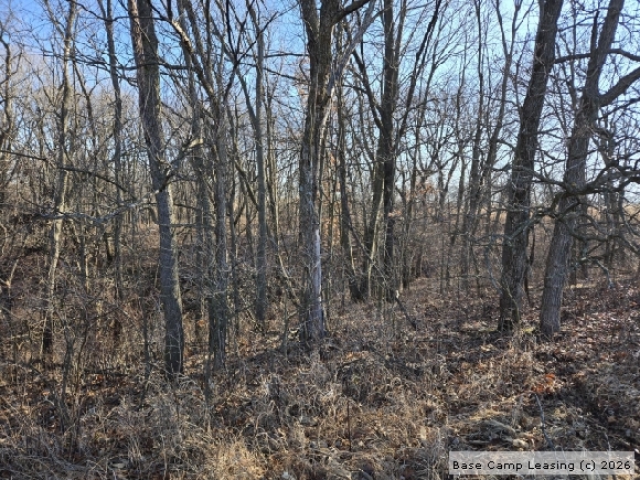 Mahaska County Iowa Hunting Lease - Property #12063 | Base Camp Leasing