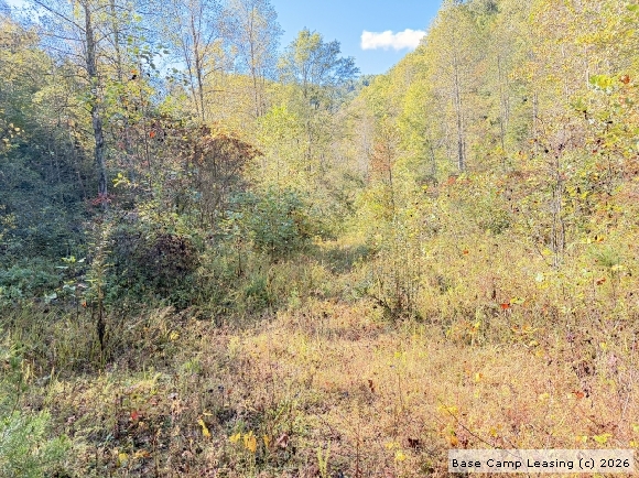 Owsley County Kentucky Hunting Lease - Property #12768 | Base Camp Leasing