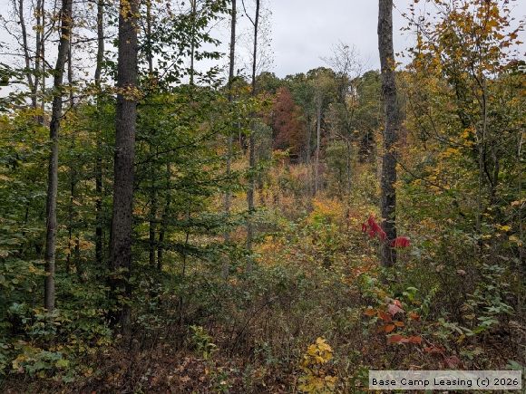 Muskingum County Ohio Hunting Lease - Property #12786 | Base Camp Leasing