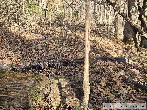 Lawrence County Indiana Hunting Lease - Property #12813 | Base Camp Leasing