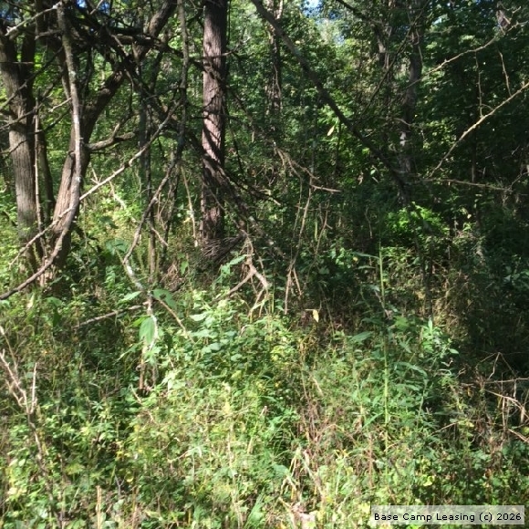 Wayne County Indiana Hunting Lease - Property #3796 | Base Camp Leasing