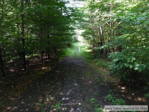 Ulster County New York Hunting Lease - Property #8306 | Base Camp Leasing
