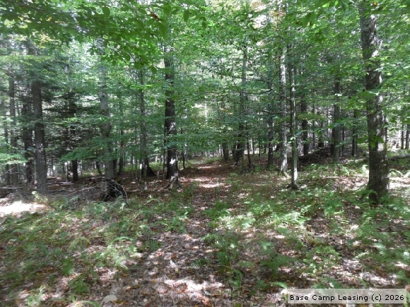 Ulster County New York Hunting Lease - Property #9460 | Base Camp Leasing