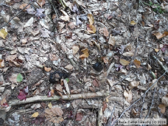 Ulster County New York Hunting Lease - Property #9460 | Base Camp Leasing