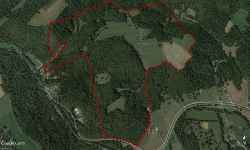 High Quality Hunting Leases for Deer Hunting | Base Camp Leasing