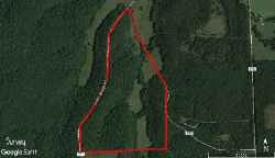 Ohio Hunting Leases | Base Camp Leasing